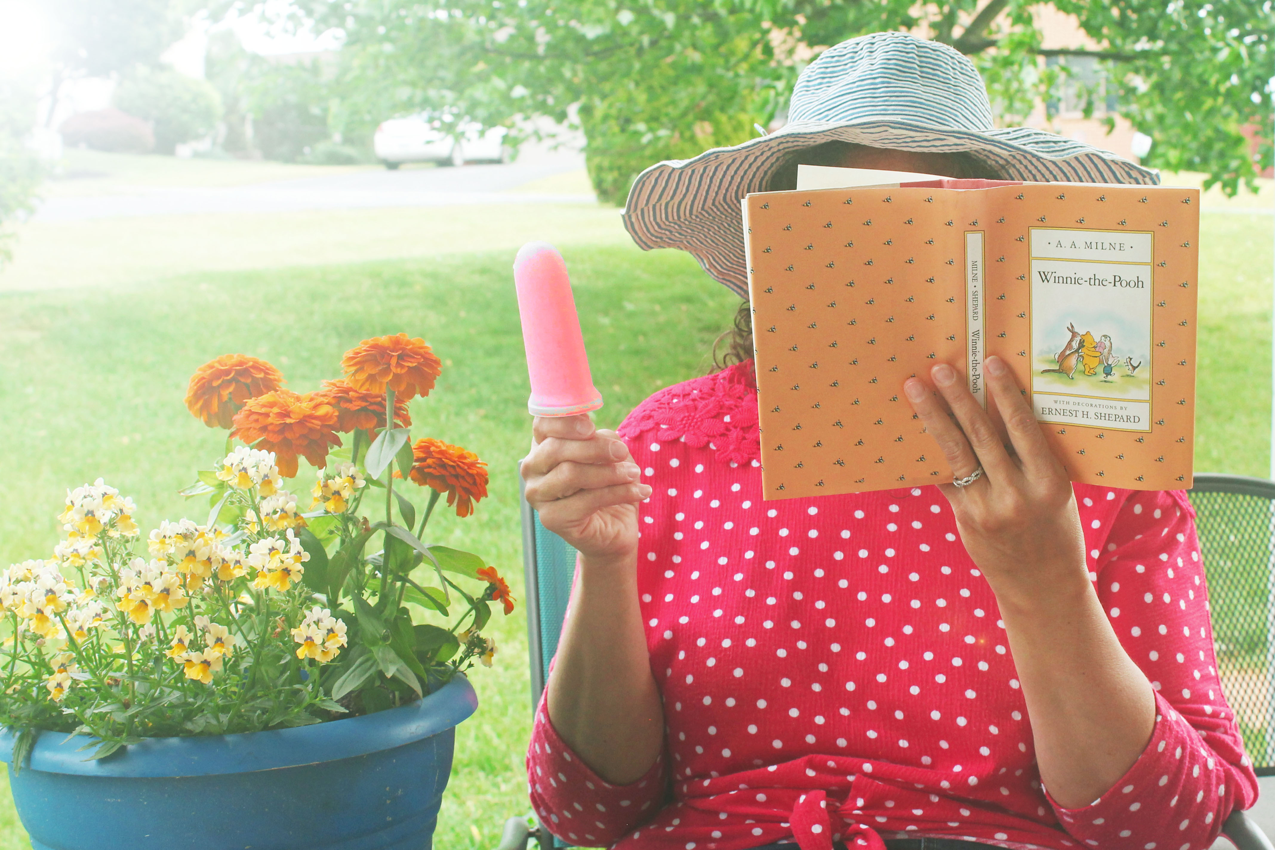 Wonder, Curiosity and Joy – By Sherry Collins